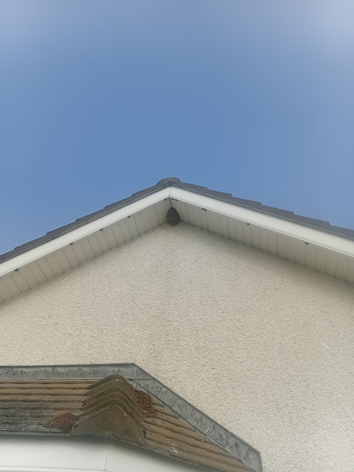 Time to Feather Your Nest!! | Stuart Turnbull's Blog